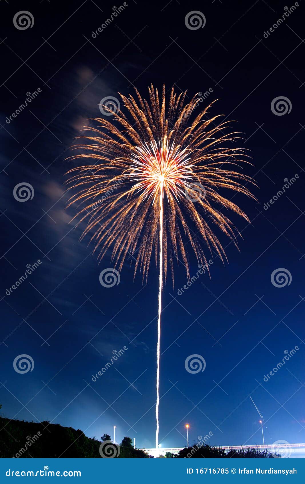 Palm Tree Firework stock image. Image of burst, explosion - 16716785