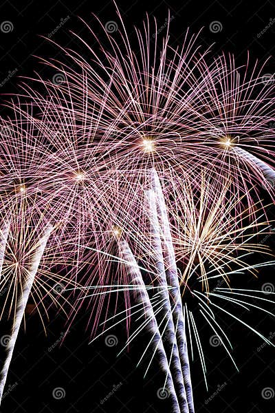 Palm tree fireworks stock image. Image of colour, orange - 40178103