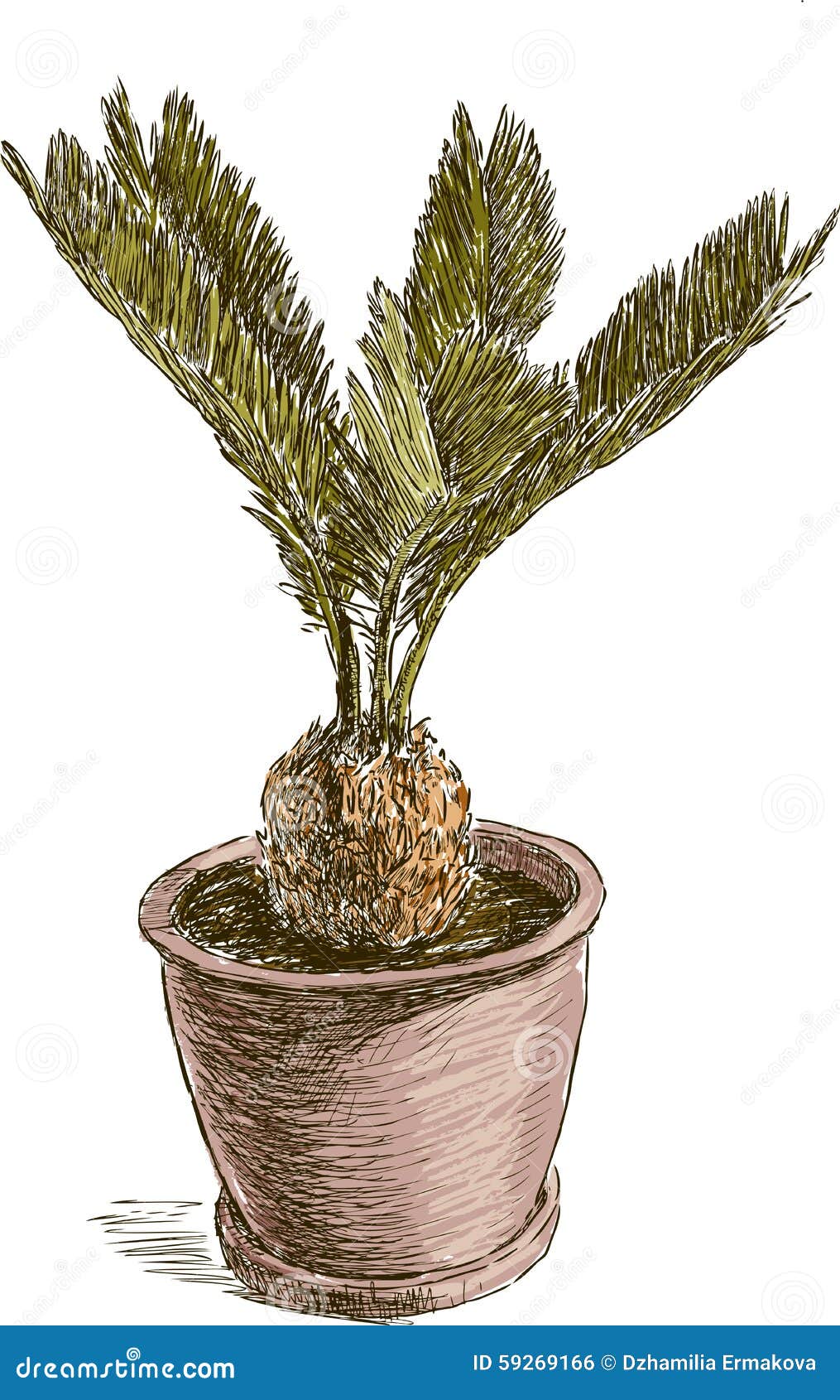 Palm tree in a flowerpot stock vector. Illustration of flower - 59269166