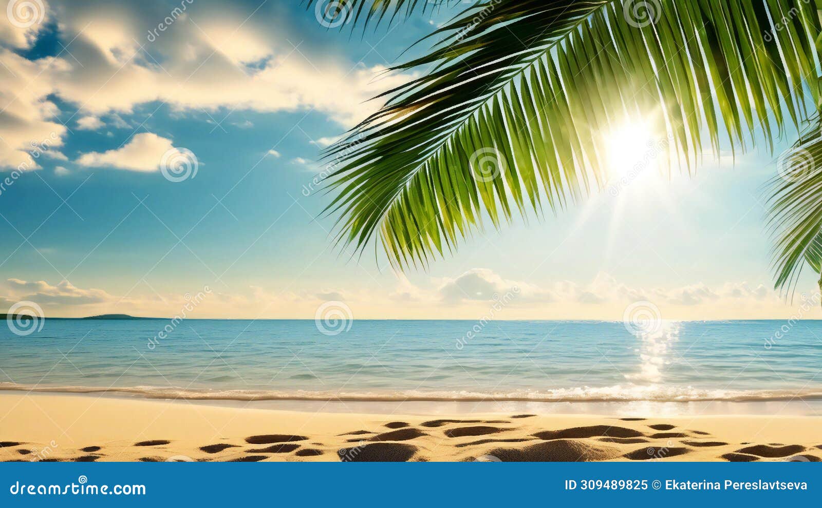 A Palm Tree is in the Foreground Beach with the Ocean in the Background ...