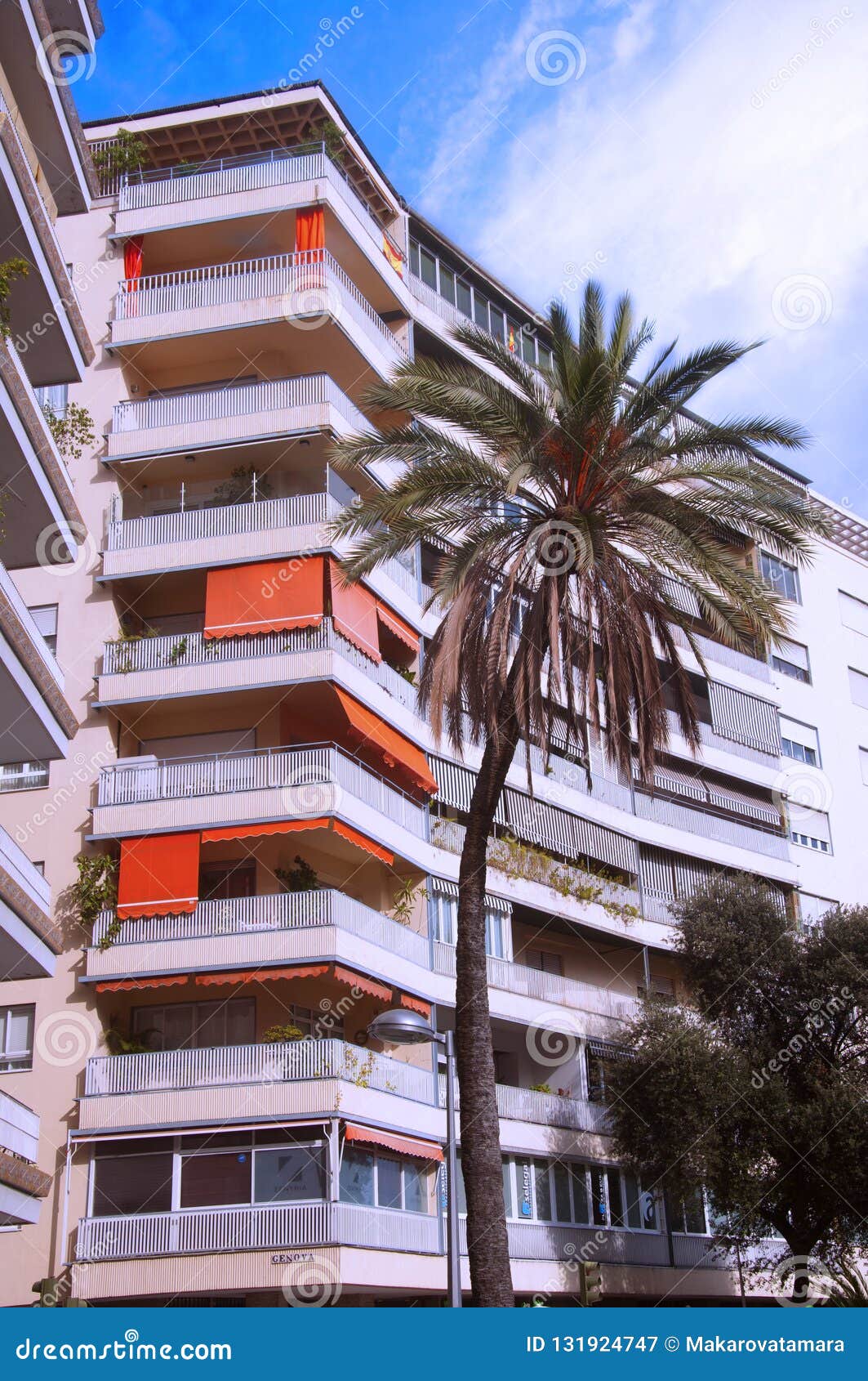 Palm Tree in Front of High Building Stock Image - Image of architecture ...