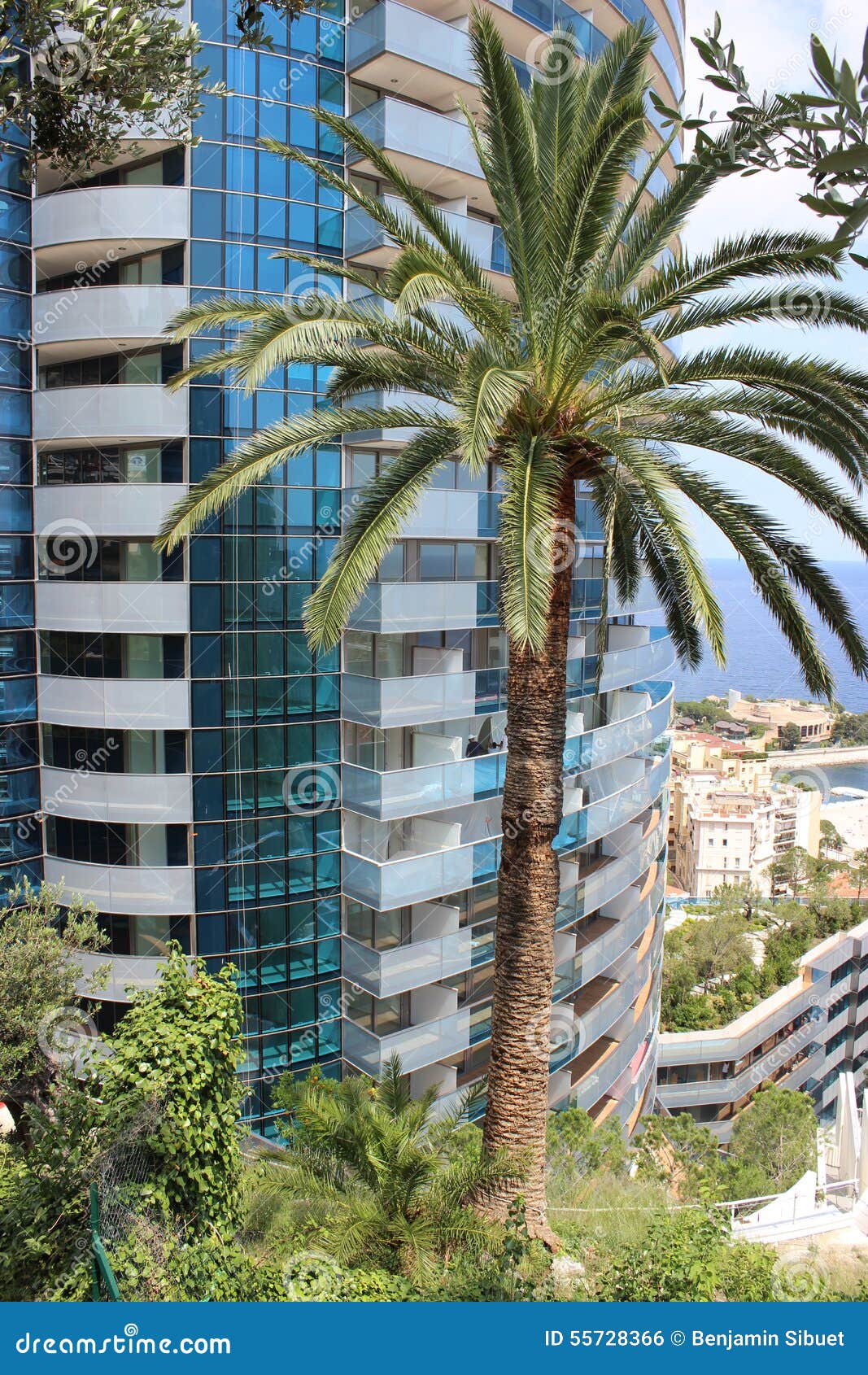 Palm Tree in Front of a Luxury Building Stock Photo - Image of france ...