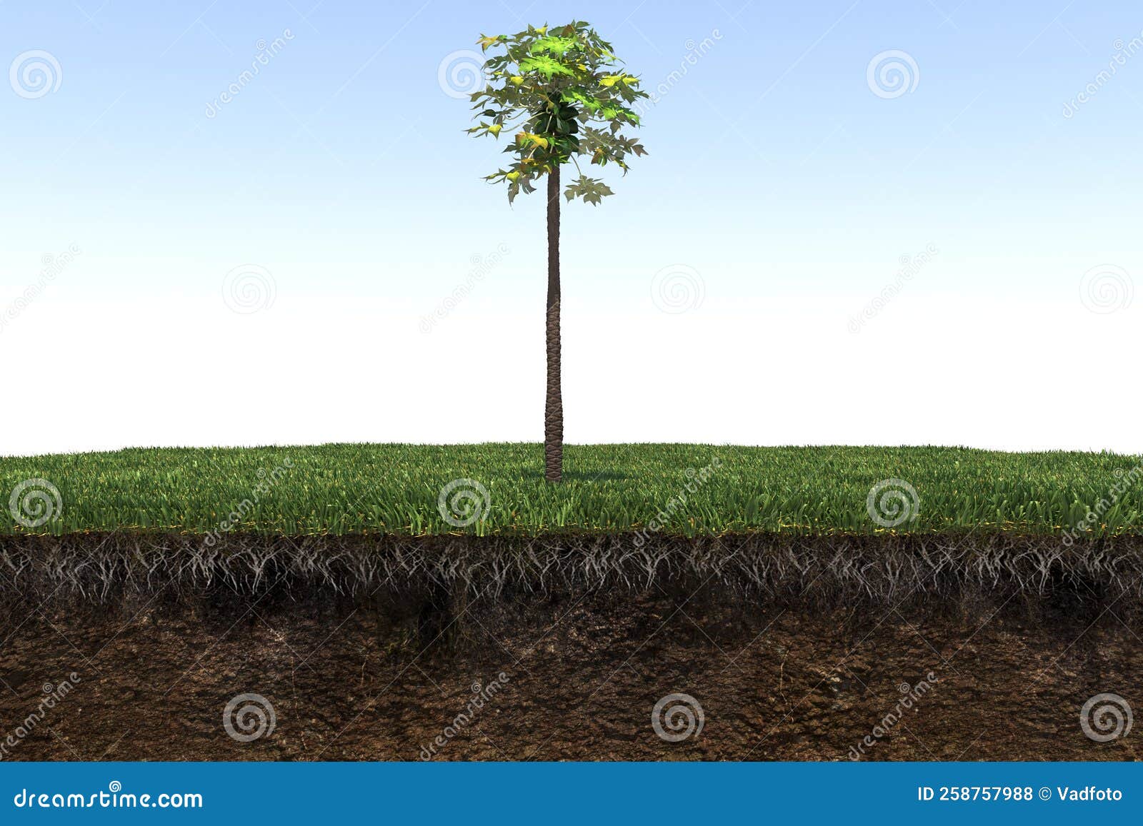 Palm Tree on the Grass and a Slice of Soil Under it Stock Illustration ...