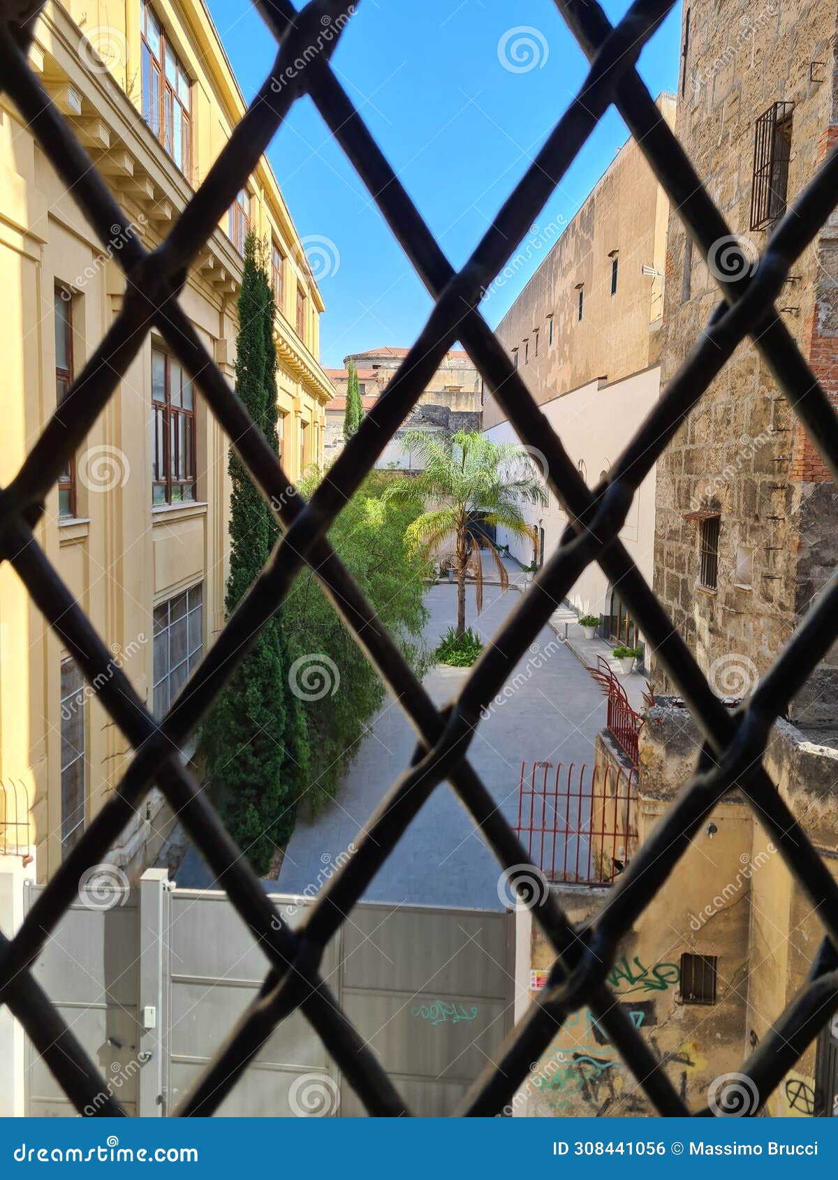 Palm Tree through the Grates of a Window Stock Photo - Image of ...