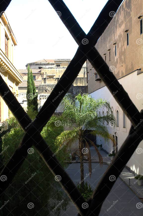 Palm Tree through the Grates of a Window Stock Photo - Image of sicily ...