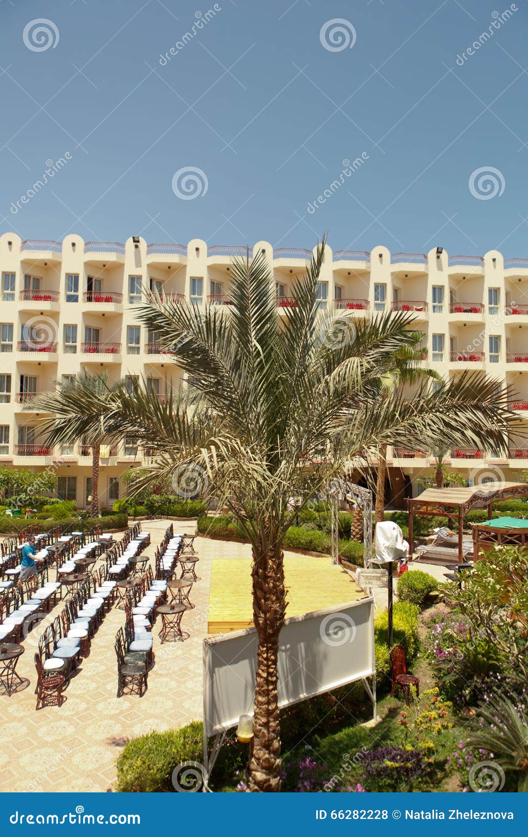 Palm tree and hotel stock photo. Image of hotel, rest - 66282228