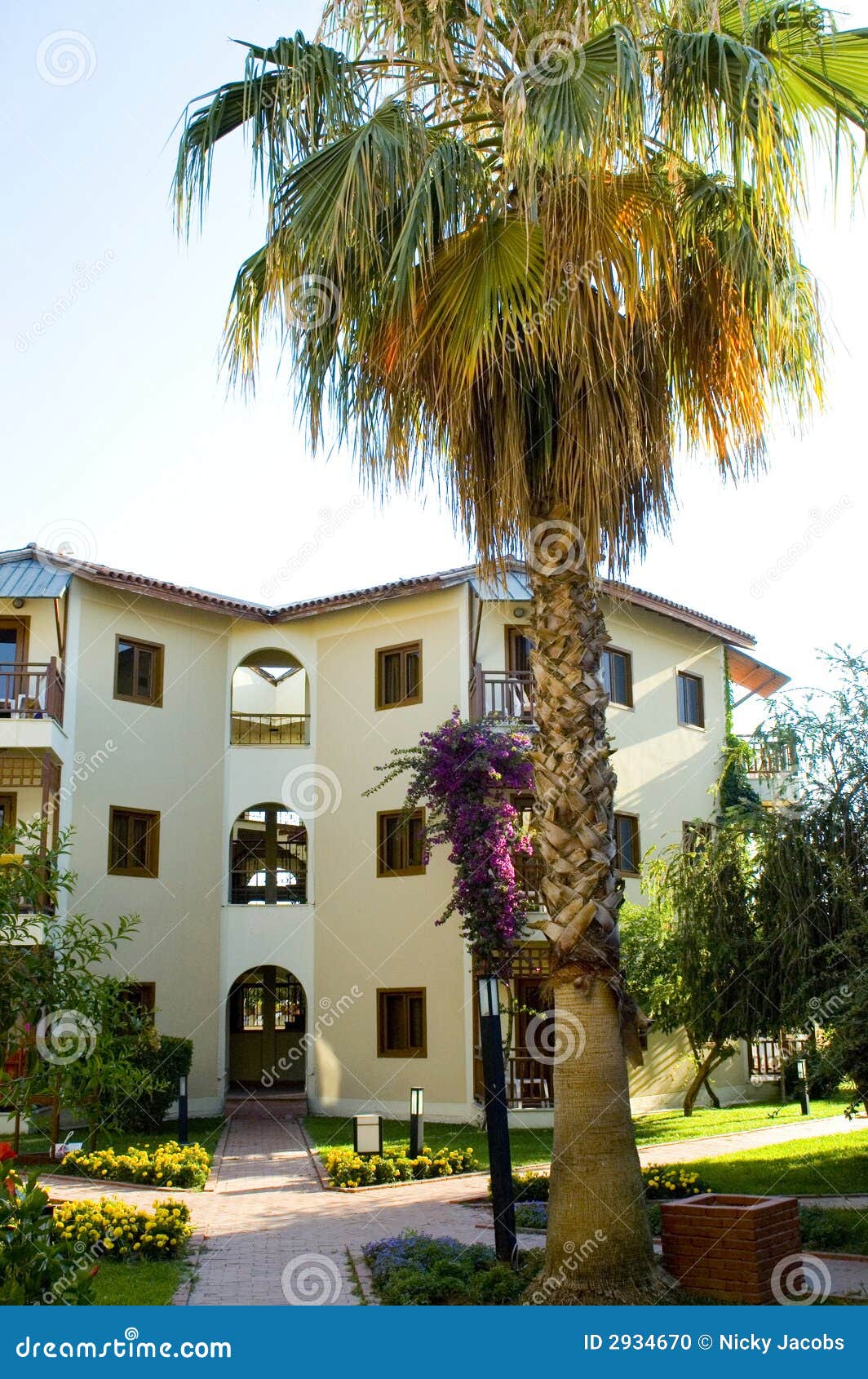 Palm tree and house stock photo. Image of palmtree, blue - 2934670