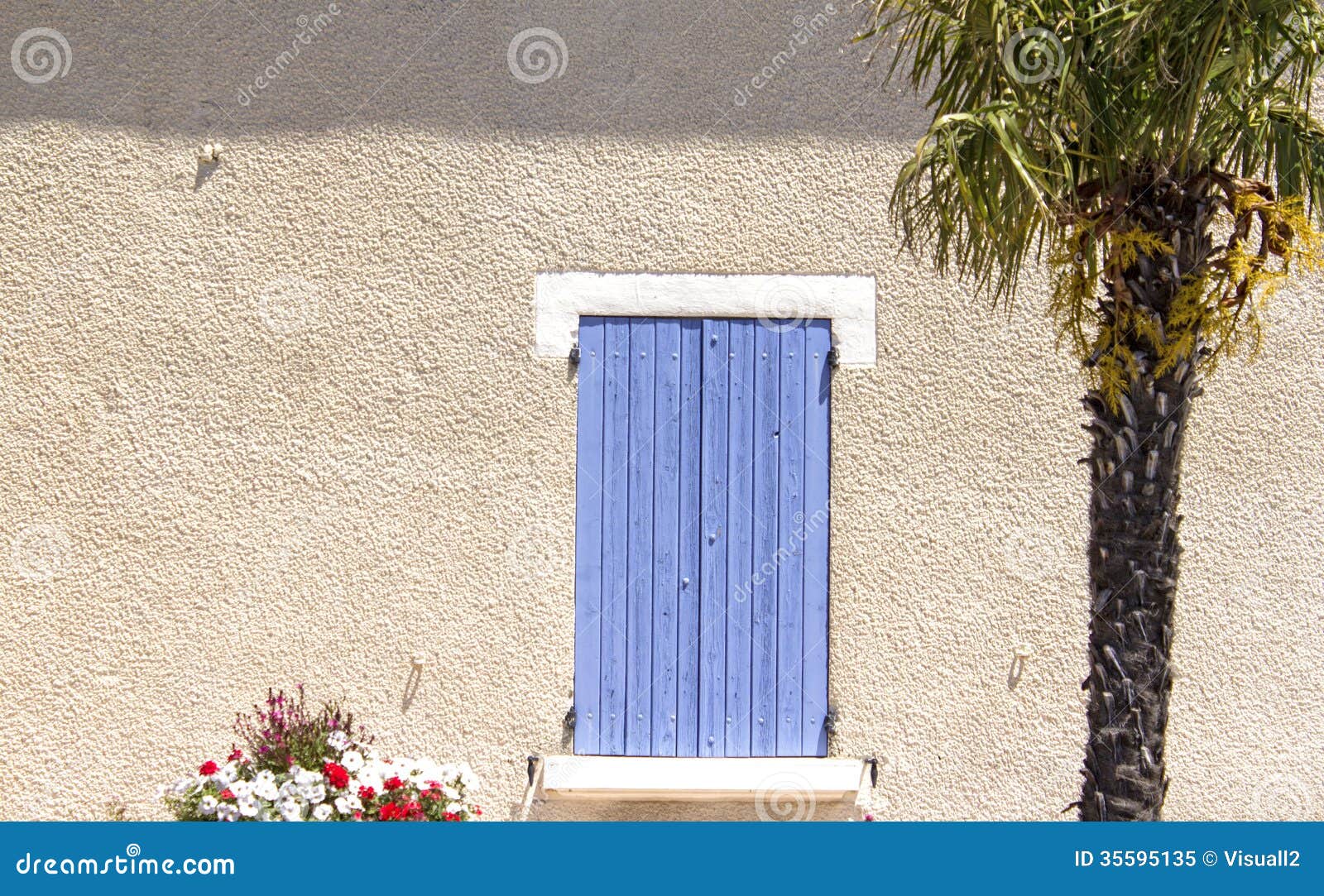 Palm Tree, House with Shutter. Stock Image - Image of structure, rustic ...