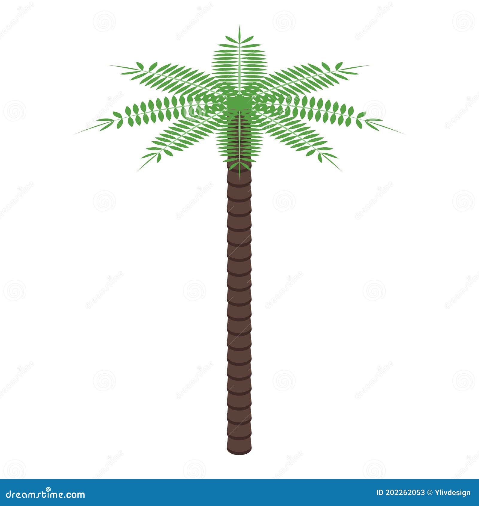 Palm Tree Icon, Isometric Style Stock Vector - Illustration of island ...