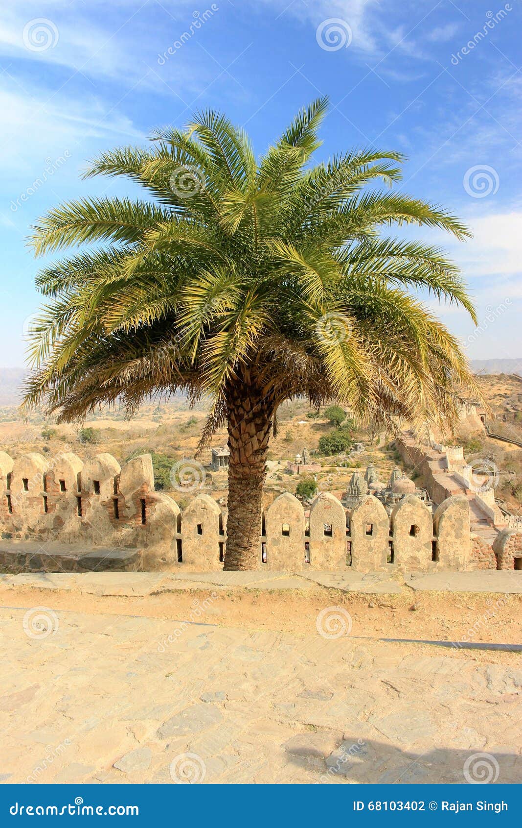 Palm Tree stock photo. Image of attraction, tourist, asia - 68103402
