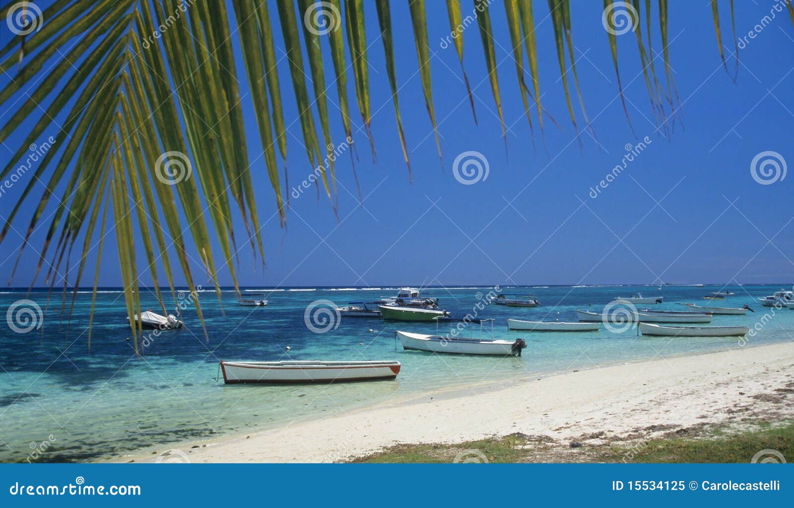 Palm Tree and Lagoon at Bain Beauf Beach Stock Image - Image of trees ...