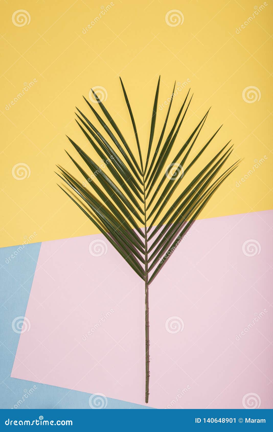 683 Palm Tree Pop Art Photos - Free & Royalty-Free Stock Photos from ...