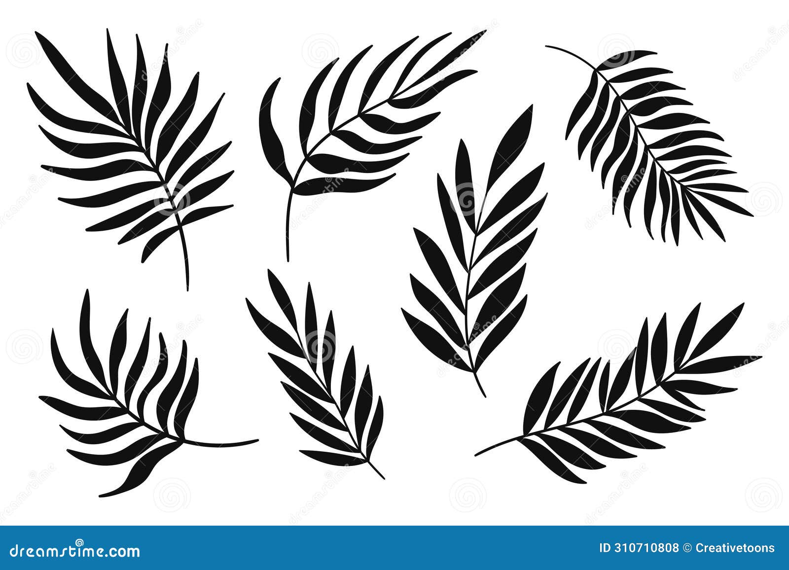 Palm Tree Leaf Silhouettes Set Isolated on White Background Stock ...