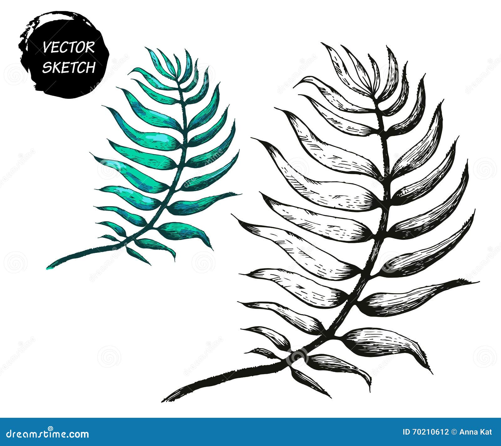 Palm Tree Leaf a stock vector. Illustration of leaf, collection - 70210612