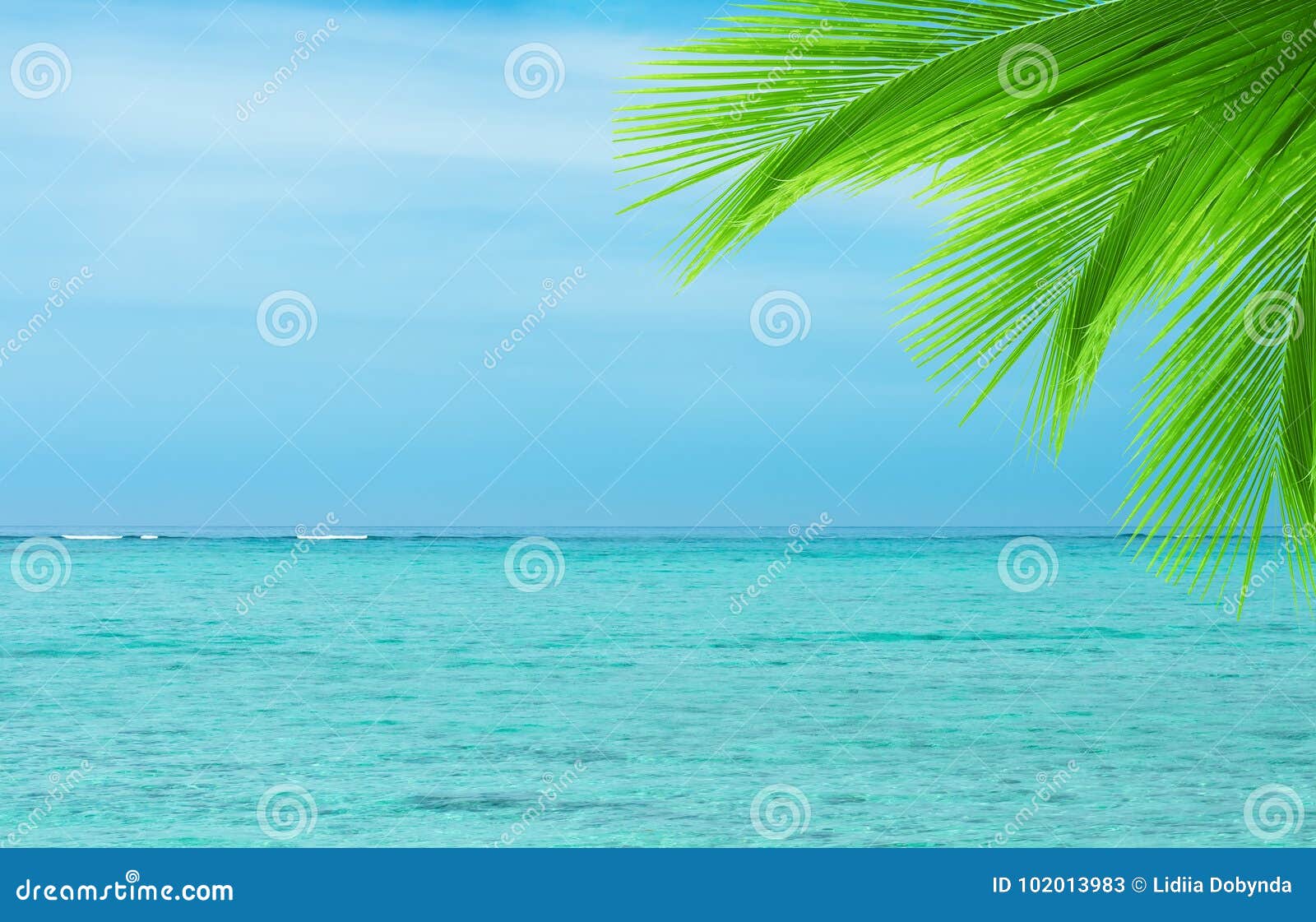 Palm Tree Leaf on Ocean Background Stock Image - Image of green ...