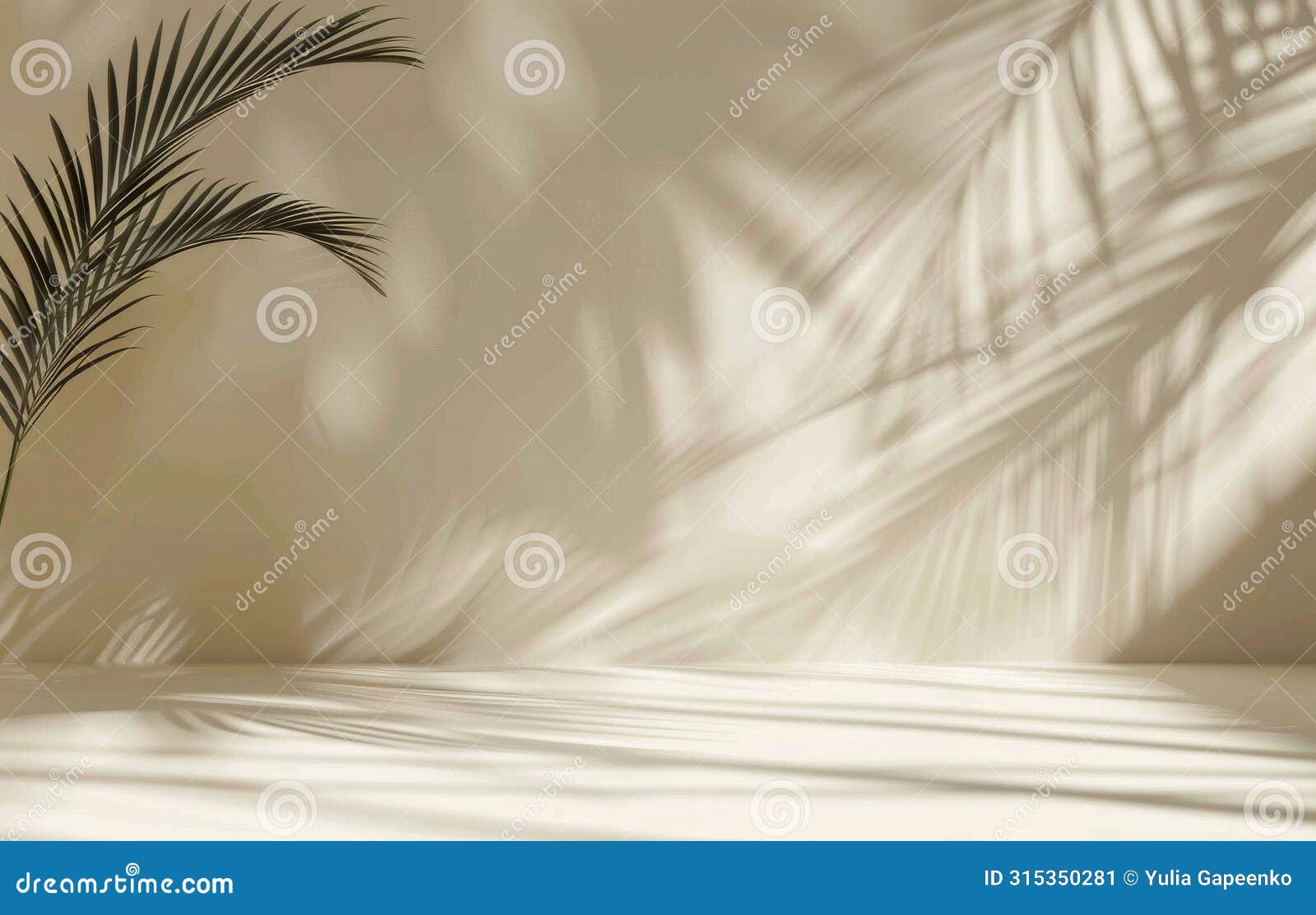 Shadow of Palm Tree Leaves on Wall Stock Image - Image of plant, shapes ...