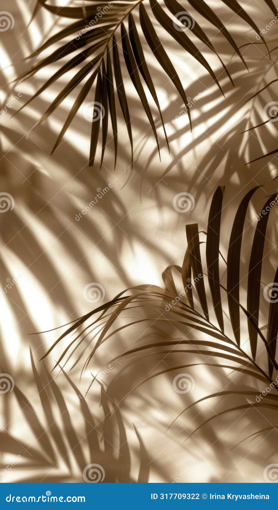 Palm Tree Leaves Shadow on Wall Stock Photo - Image of light, foliage ...
