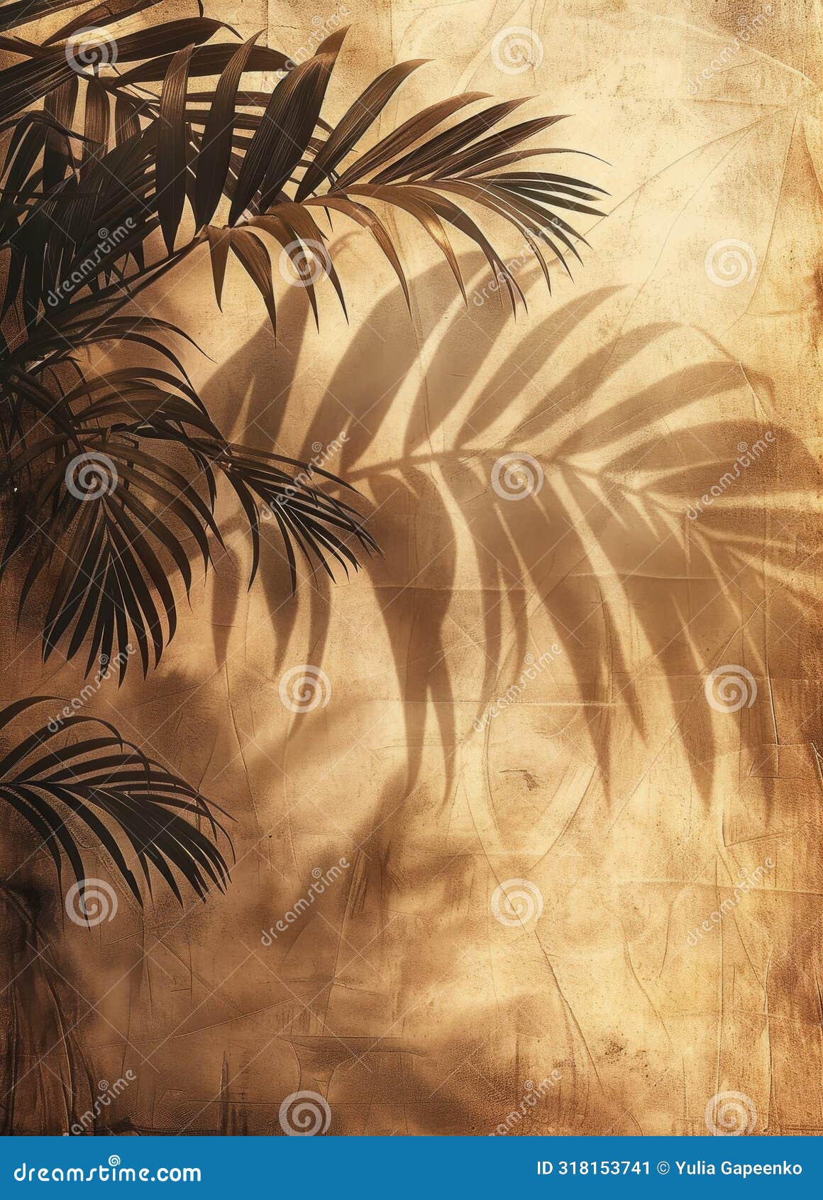 Palm Tree Leaves Shadow on Wall Stock Image - Image of play, light ...