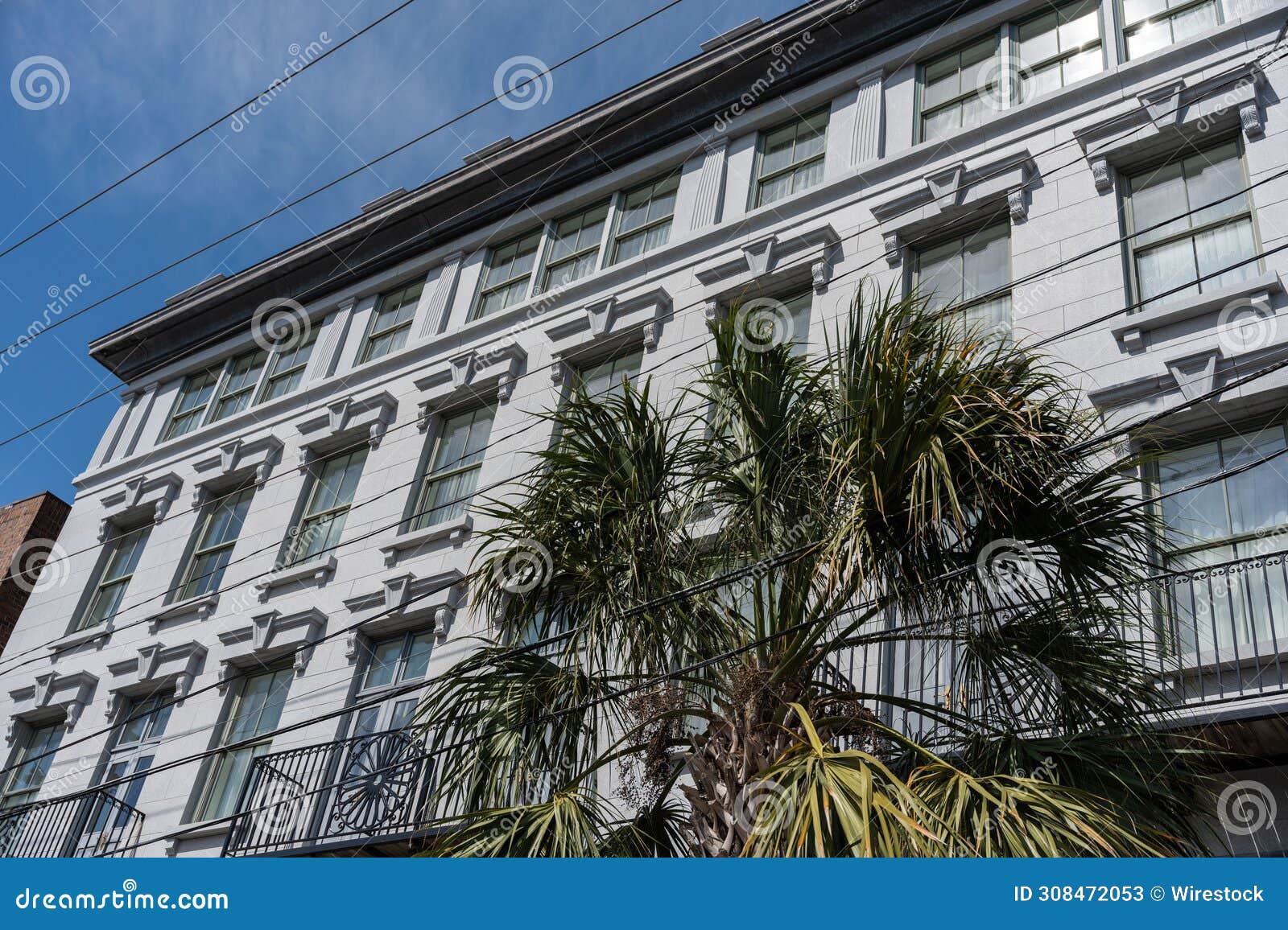 Palm Tree-lined Building Surrounded by Other Structures Stock Image ...