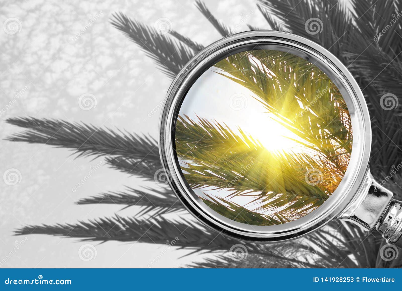 Palm Tree in the Magnifying Glass. Stock Image - Image of online ...