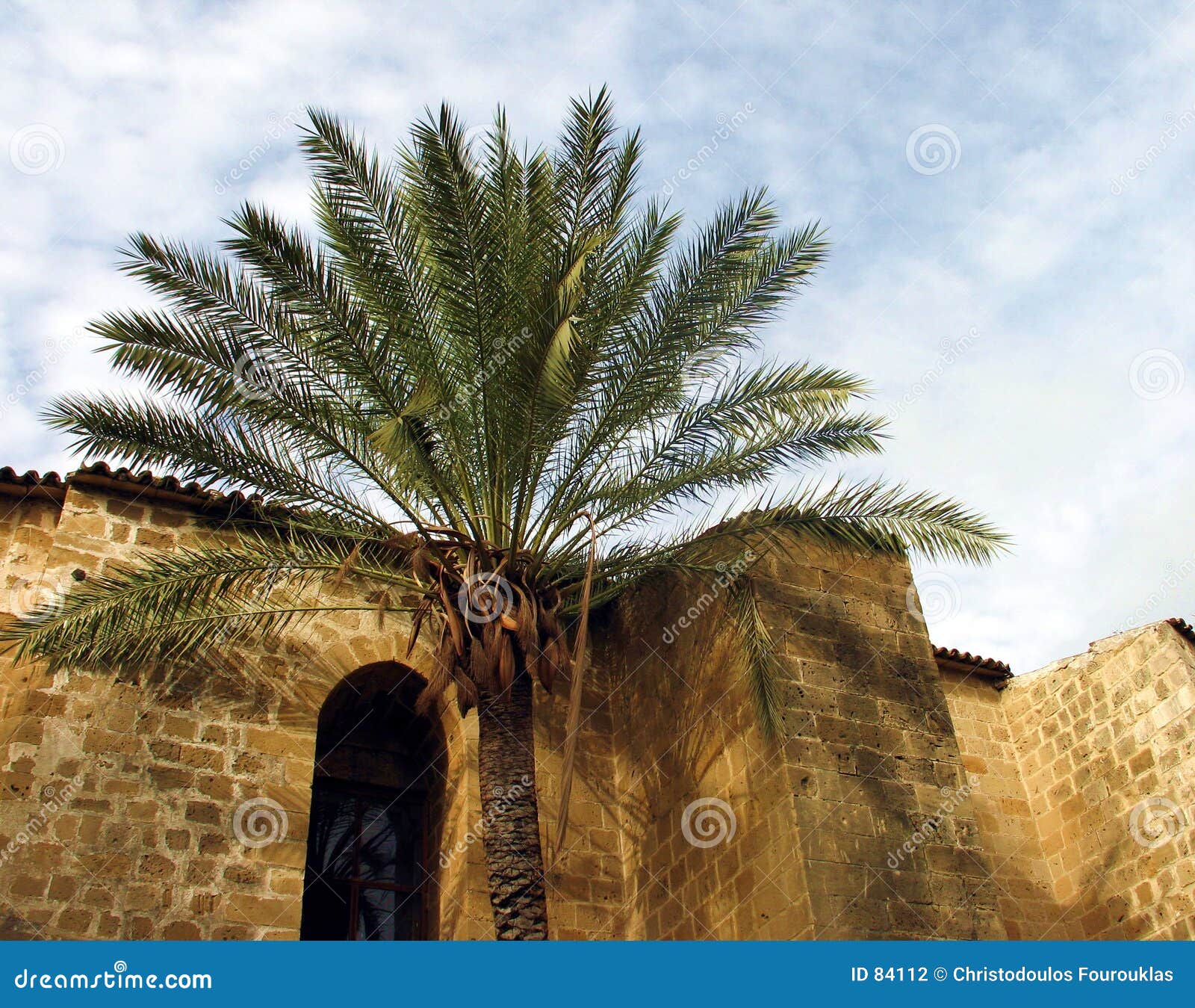 Palm tree Mosque stock photo. Image of skies, places, fourouklas - 84112