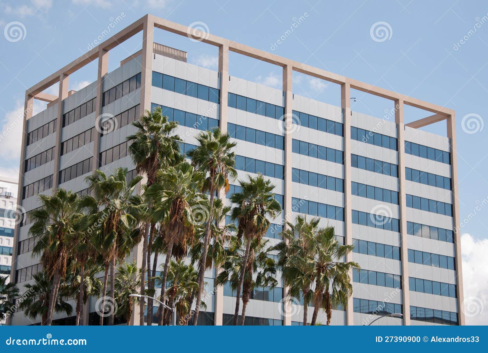 Palm Tree and Office Building Stock Photo - Image of modern, lens: 27390900