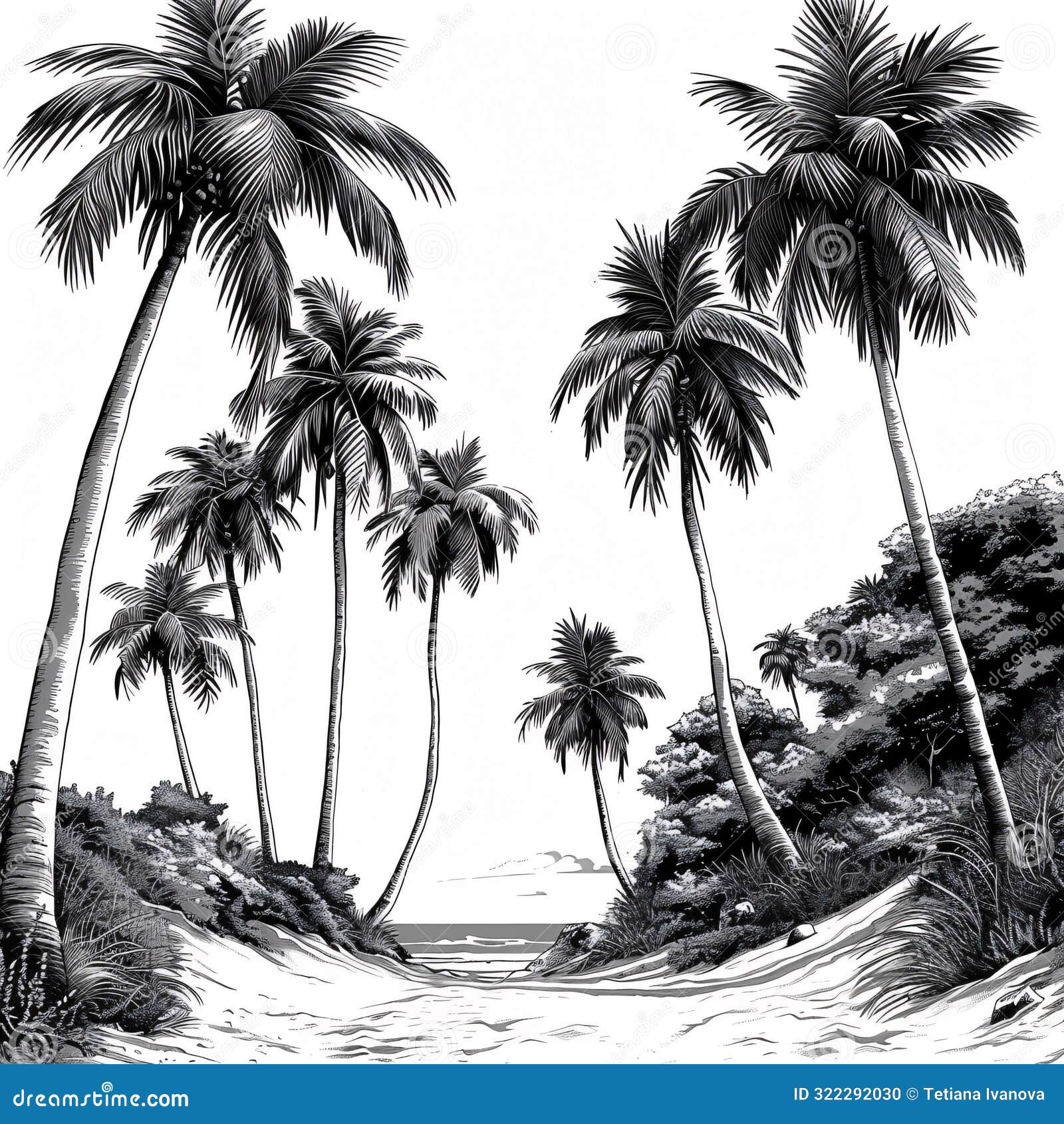 Palm Tree Outlines Creating a Tropical Background. Stock Illustration ...