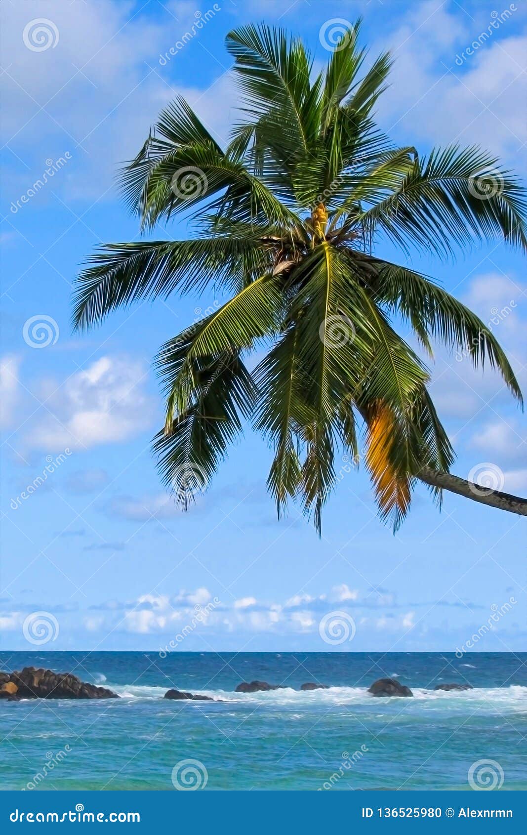 Palm Tree Over the Ocean Against the Sky Stock Photo - Image of ...