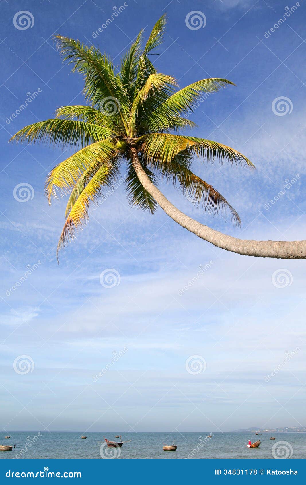 Palm tree over water stock photo. Image of beautiful - 34831178