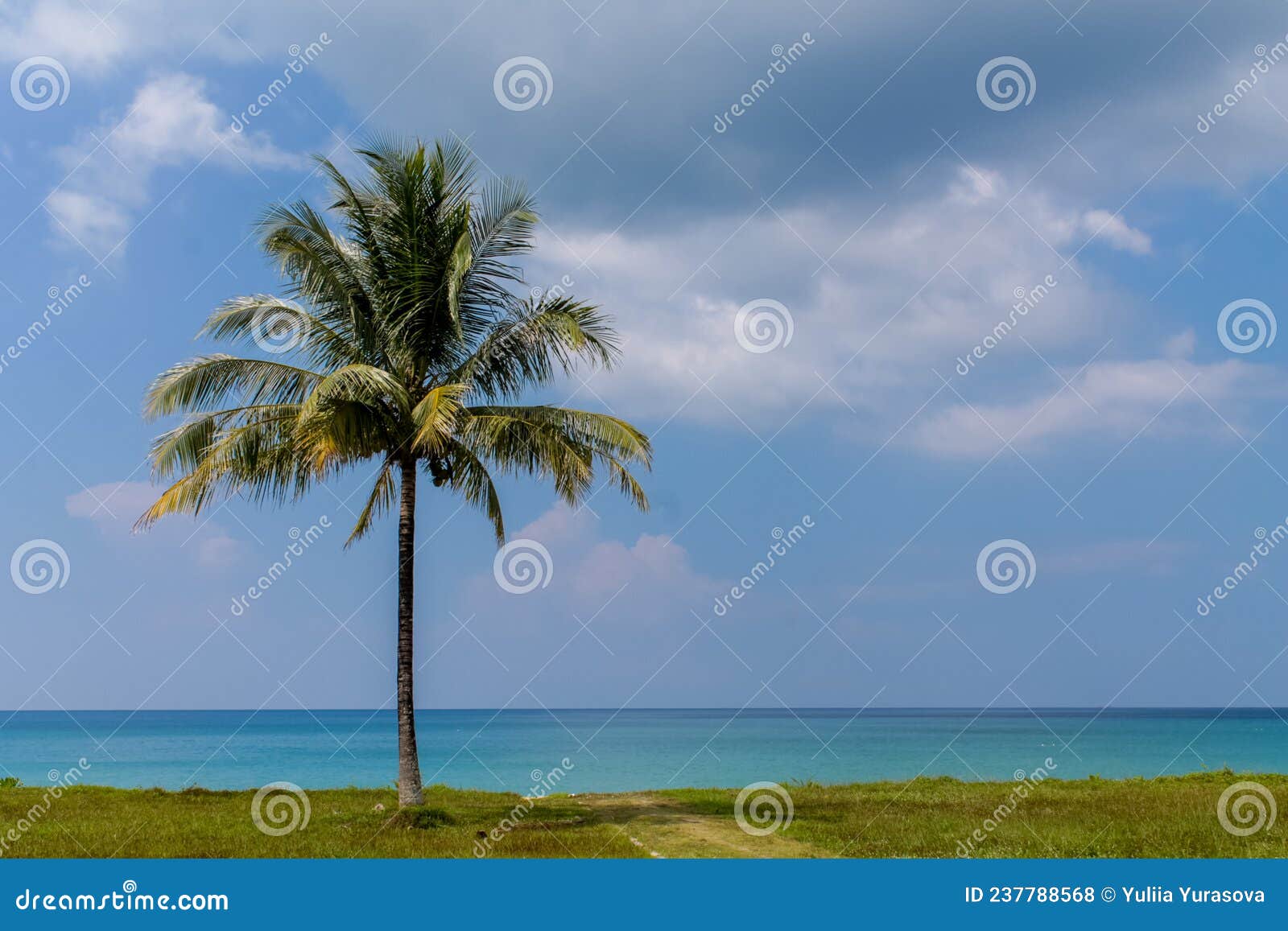 Palm Tree on the Paradise Tropical Resort Stock Photo - Image of shore ...