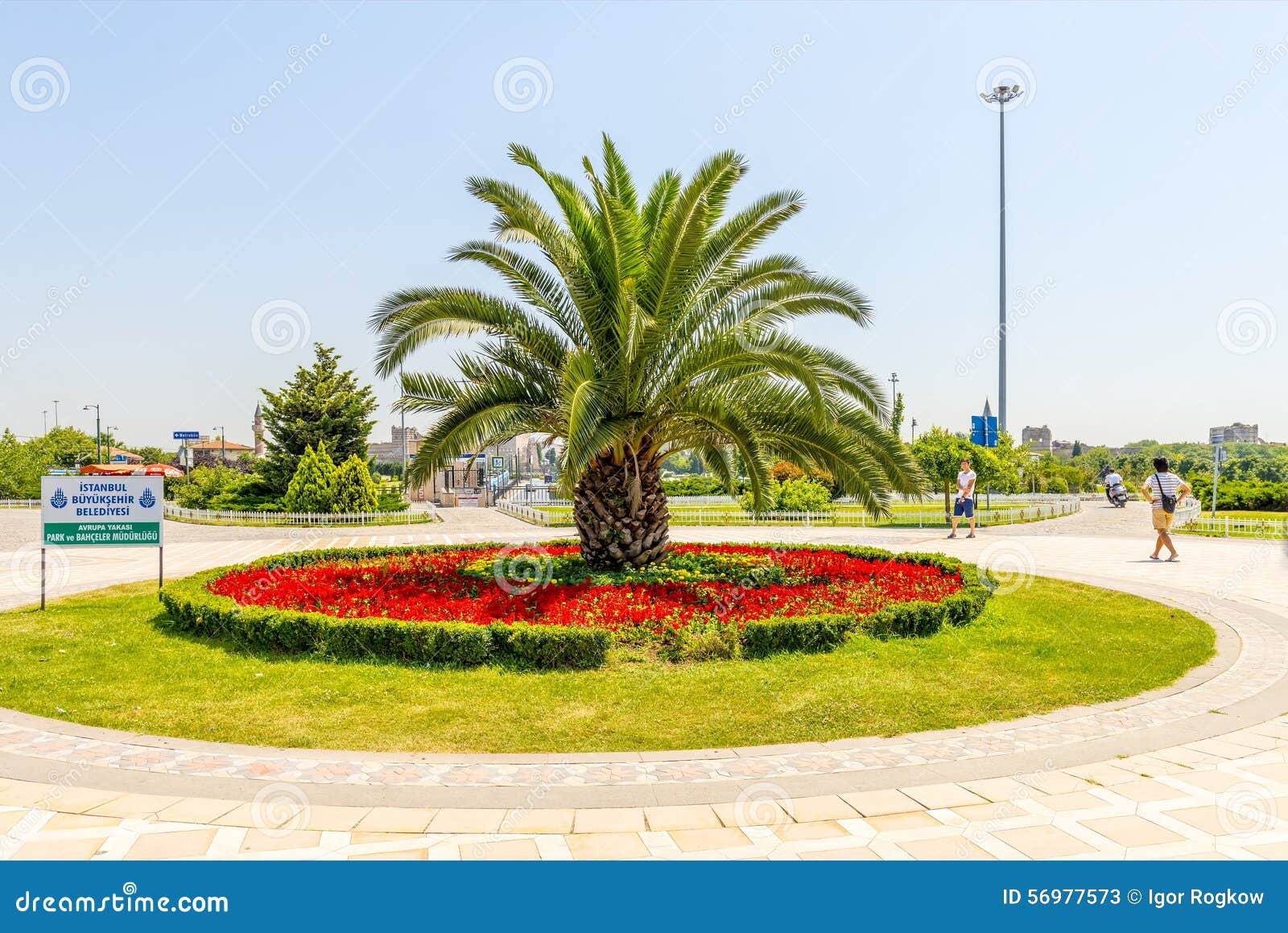 Palm Tree in the Park in the Middle of Istanbul S Main Square ...