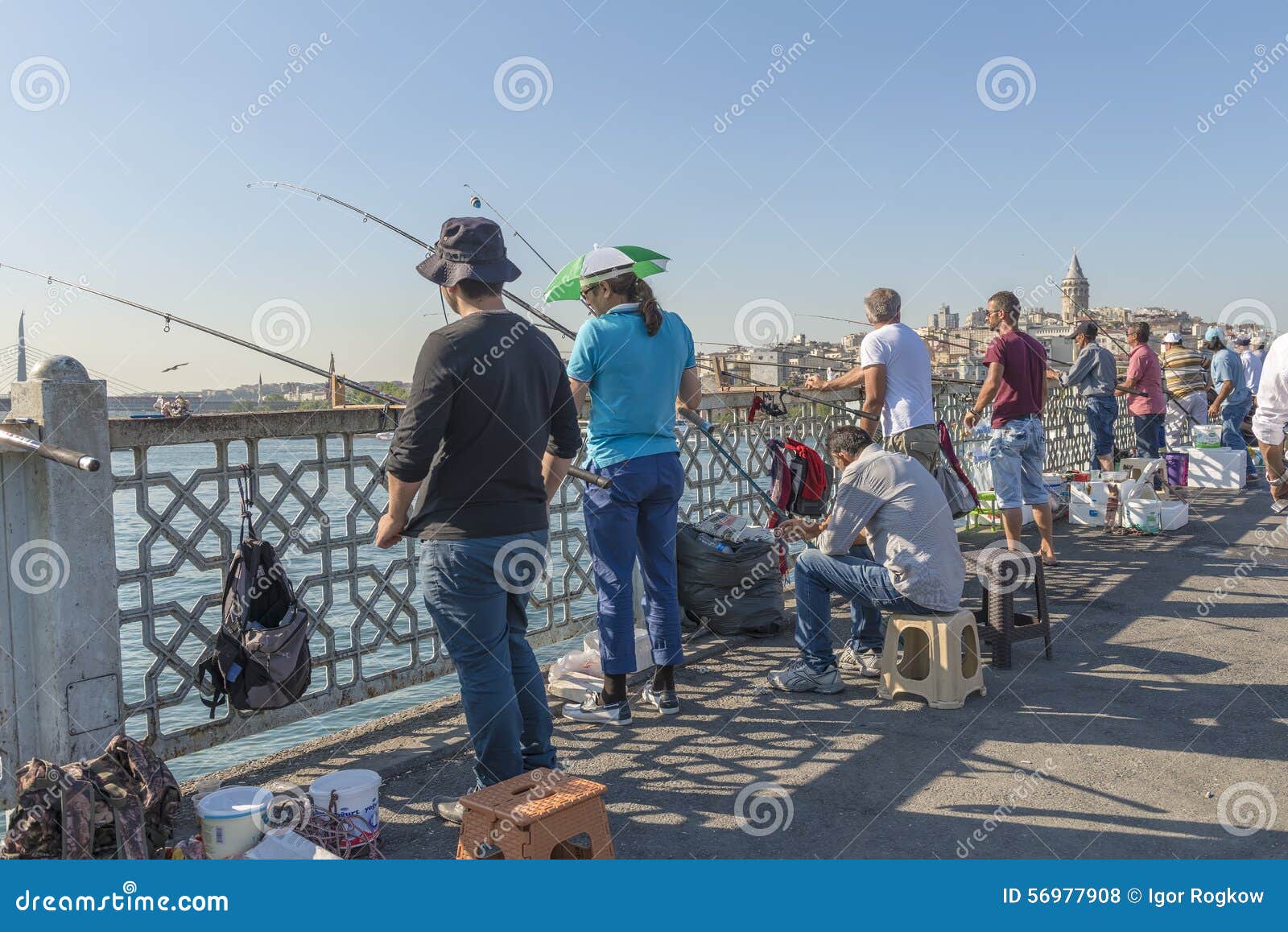 Palm Tree in the Park in the Middle of Istanbul S Main Square ...
