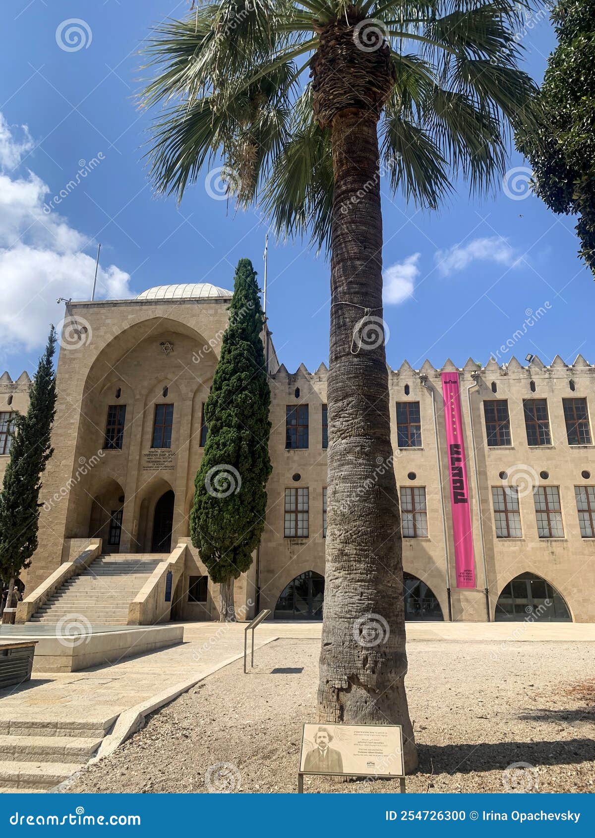 Palm Tree Planted by Albert Einstein Editorial Image - Image of albert ...