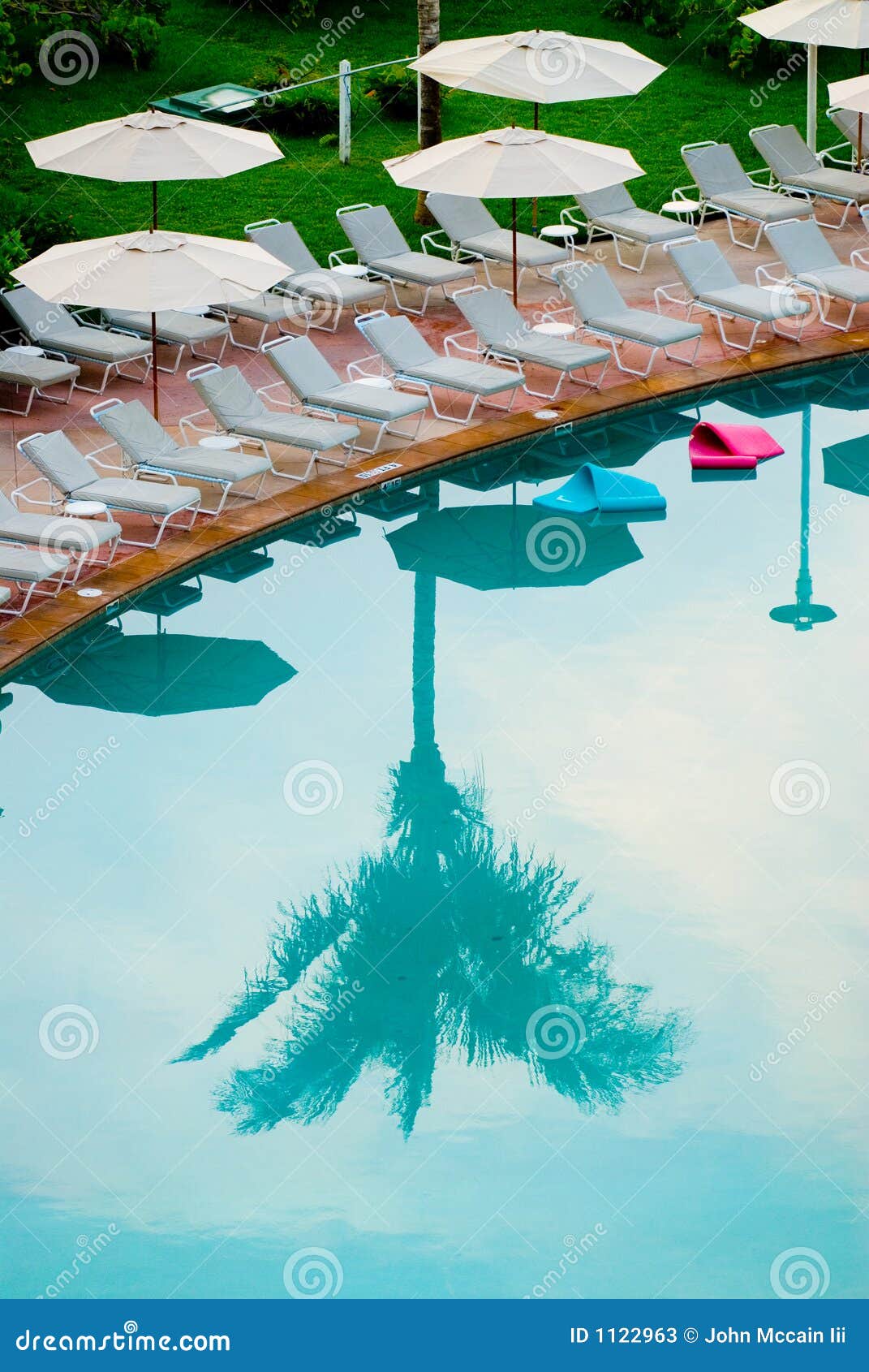 Palm tree reflection stock image. Image of tropics, reflections - 1122963