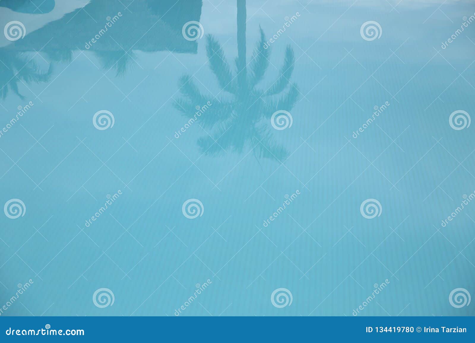 Palm Tree Reflection in Blue Pool Water Abstract Background Stock Photo ...