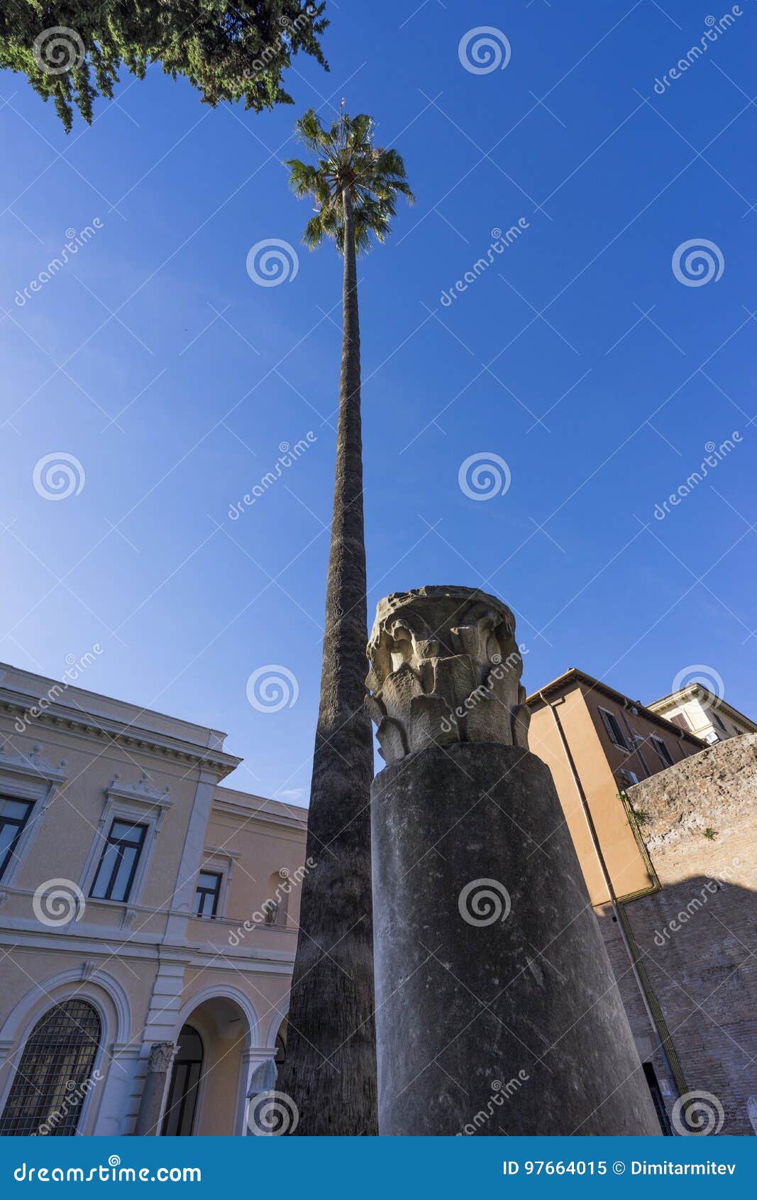 Palm Tree in Rome, Against Blue Sky. Rome, Stock Image - Image of plant ...
