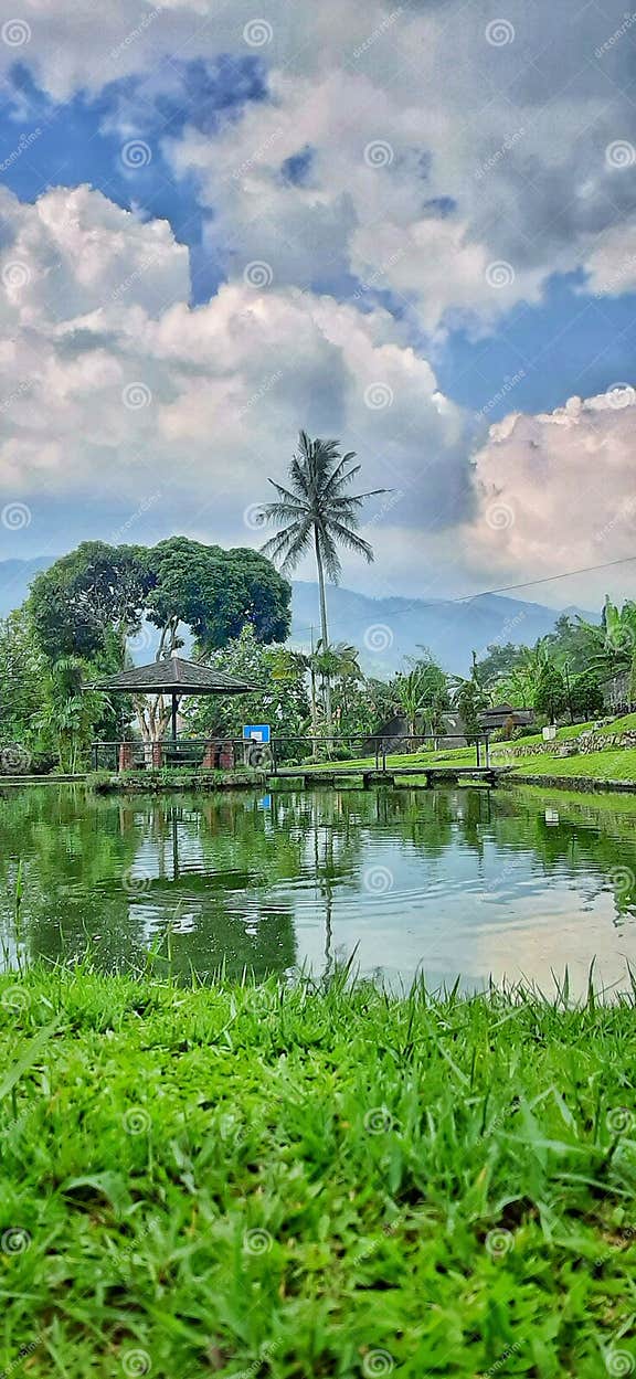 Palm tree scenery lake stock image. Image of tree, palm - 281440387