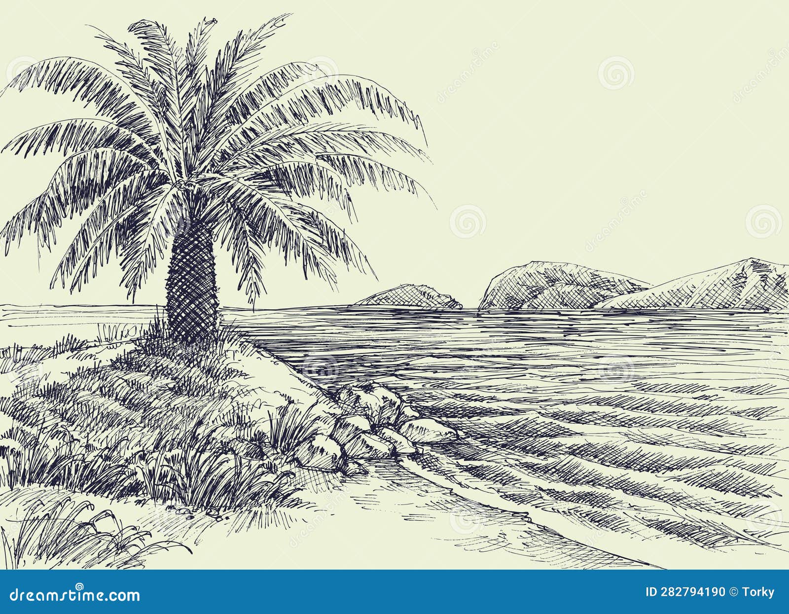 Palm Tree on Sea Shore Vector Hand Drawing Stock Photo - Image of ...