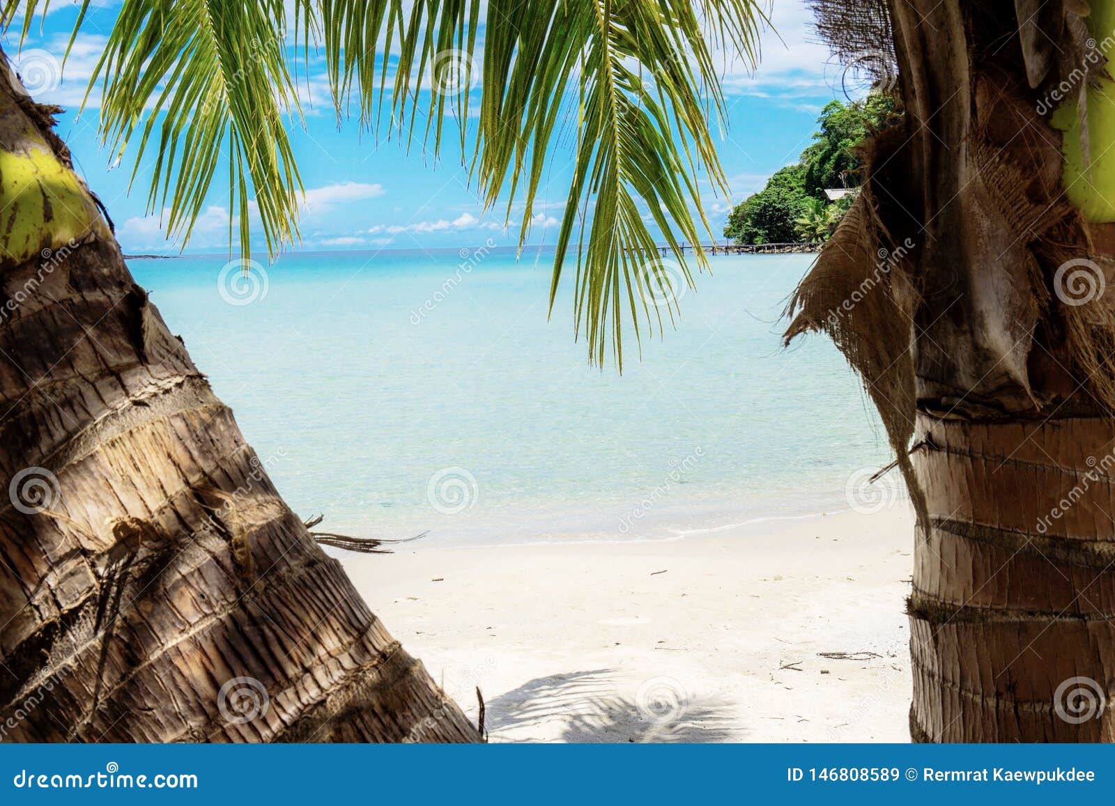Palm Tree at Sea with Sunlight Stock Image - Image of relax, lagoon ...