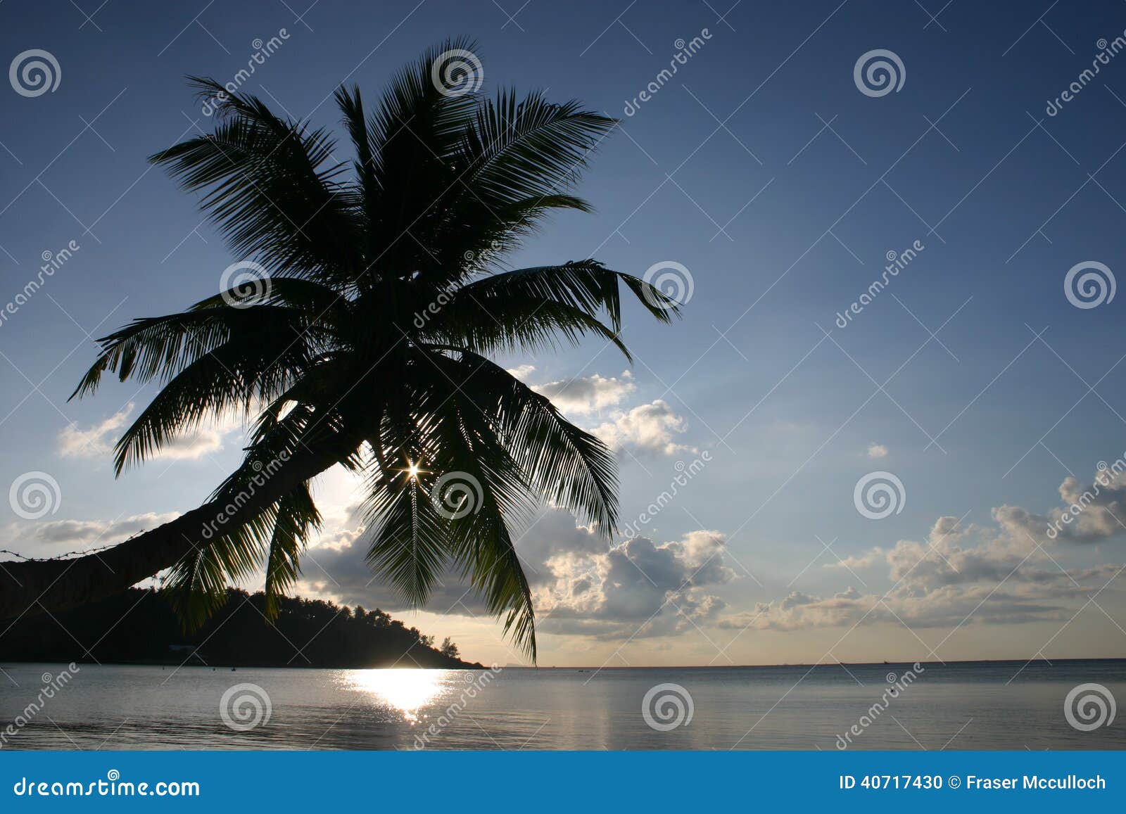 Palm Tree Sunset stock photo. Image of beauty, relax - 40717430
