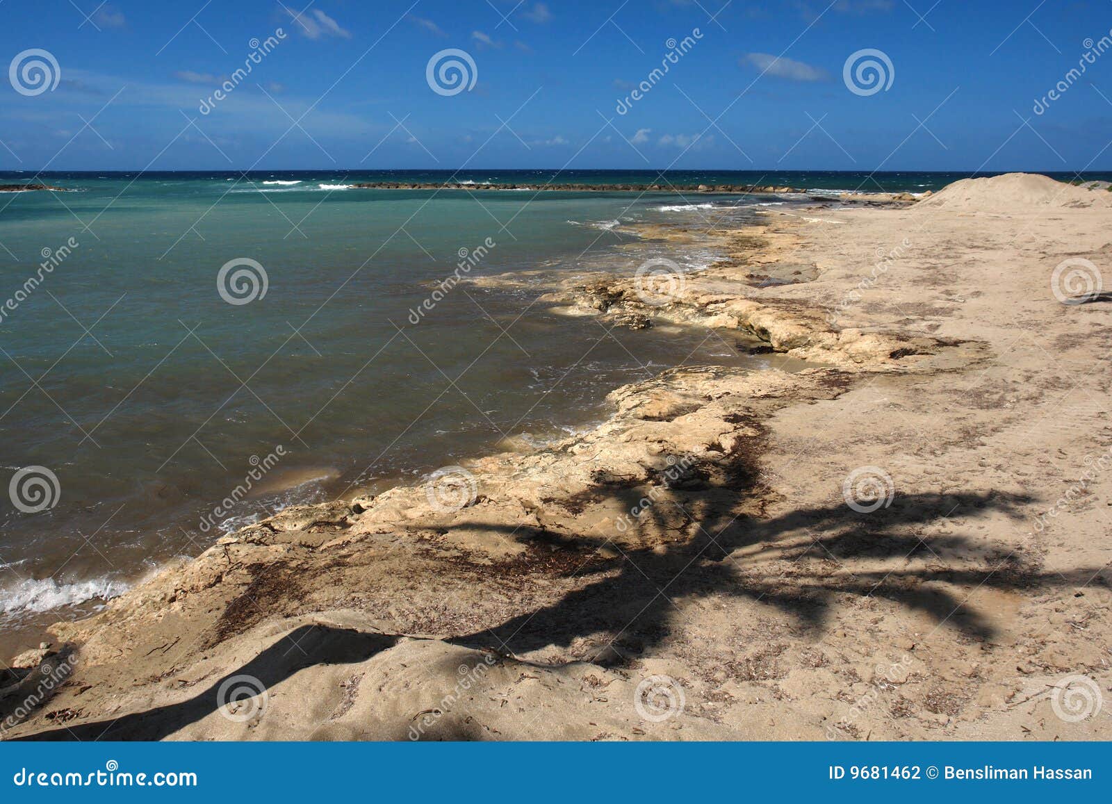 Palm Tree Shade on Cyprus Coast Stock Photo - Image of palm, outdoor ...