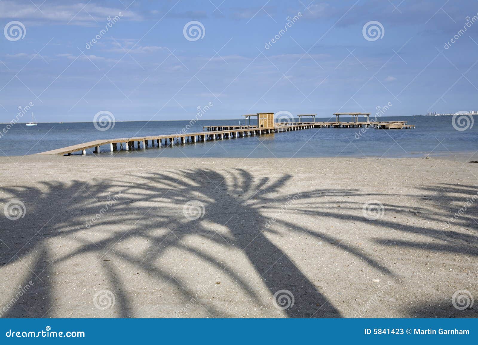 Palm tree shadow stock image. Image of shadow, murcia - 5841423