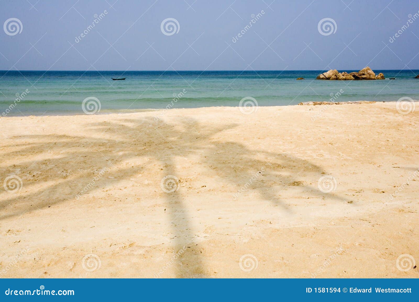 Palm tree shadow on beach stock photo. Image of coast - 1581594