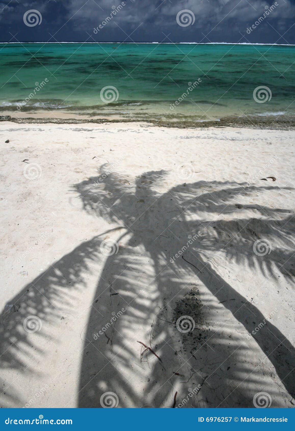 Palm Tree Shadow on Beautiful Beach Stock Image - Image of relax ...