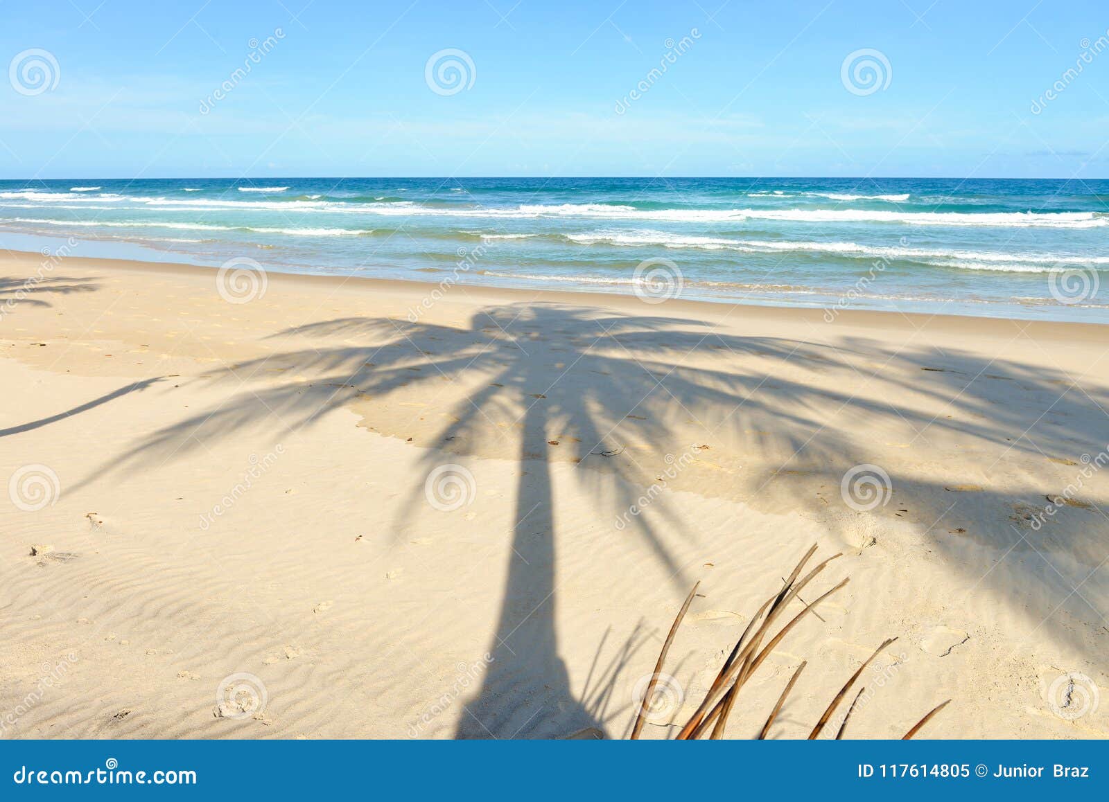 Palm Tree Shadow on Beautiful Sandy Beach Stock Image - Image of palm ...