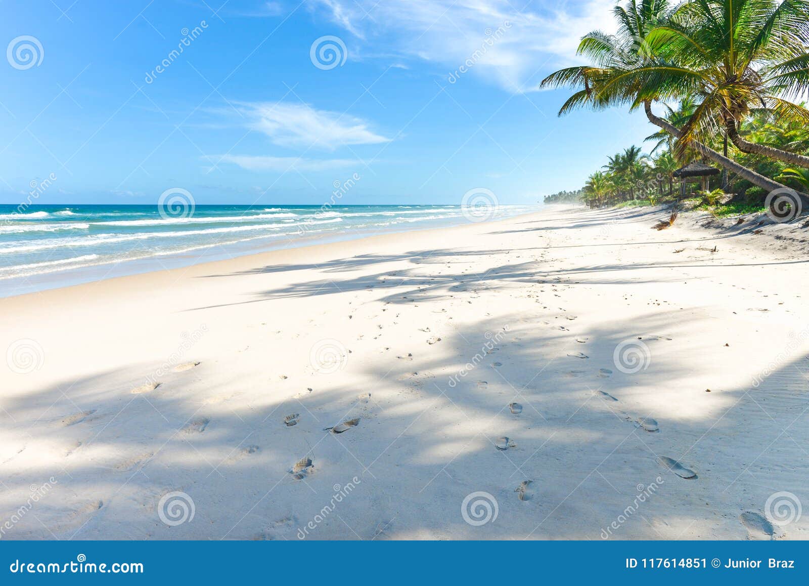 Palm Tree Shadow on Beautiful Sandy Beach Stock Image - Image of beach ...
