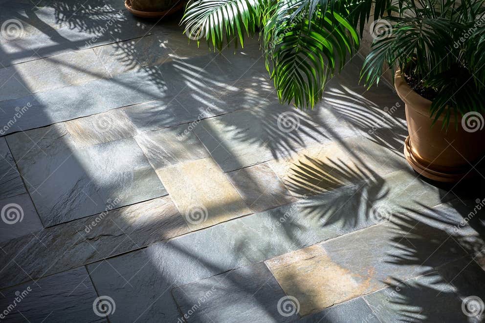 Palm Tree Shadow Patterns on Stone Floor Stock Illustration ...