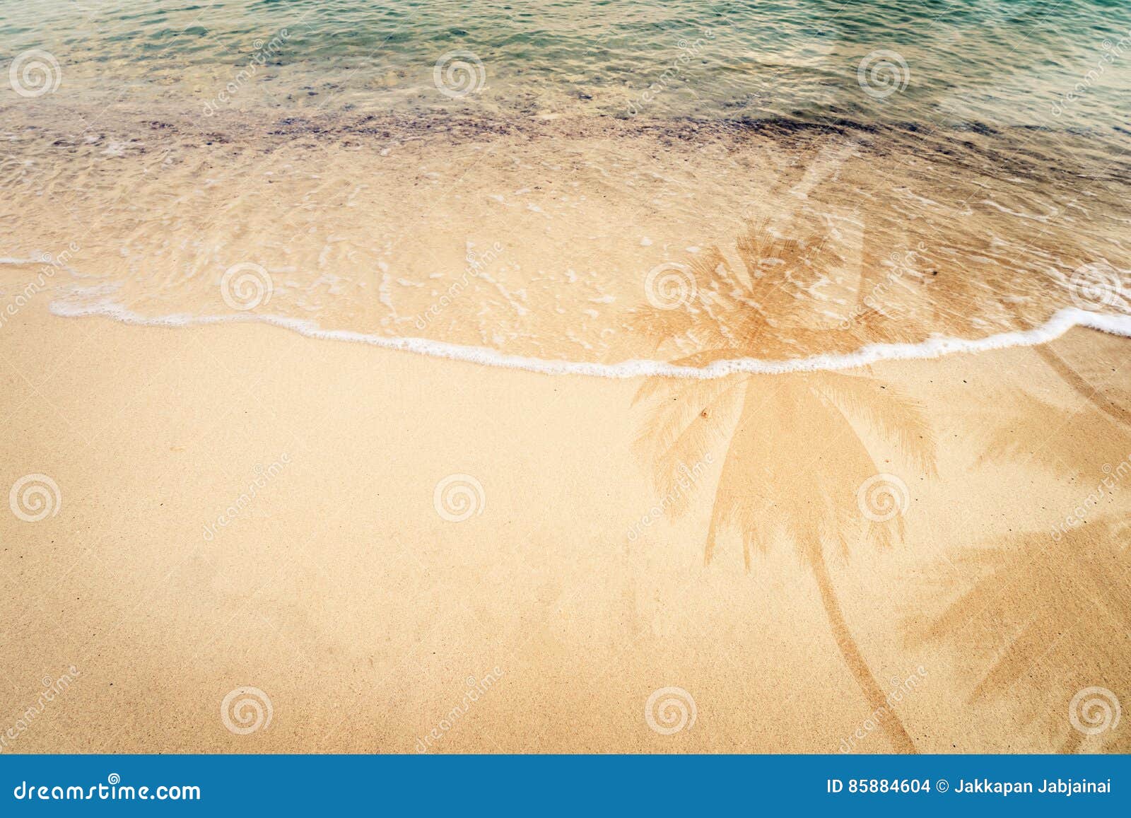 Palm Tree Shadow on the Sandy Beach with Ocean Wave Stock Photo - Image ...