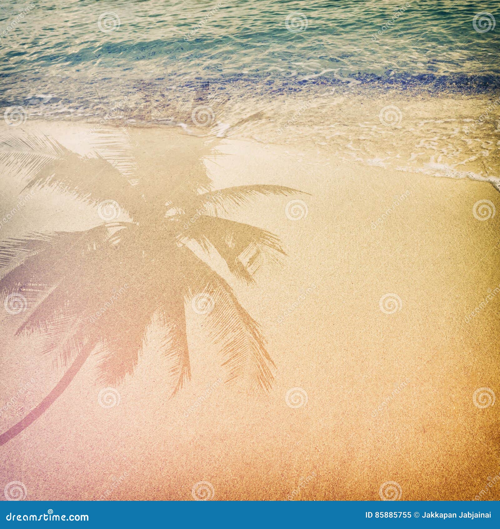 Palm Tree Shadow on the Sandy Beach with Ocean Wave Stock Image - Image ...