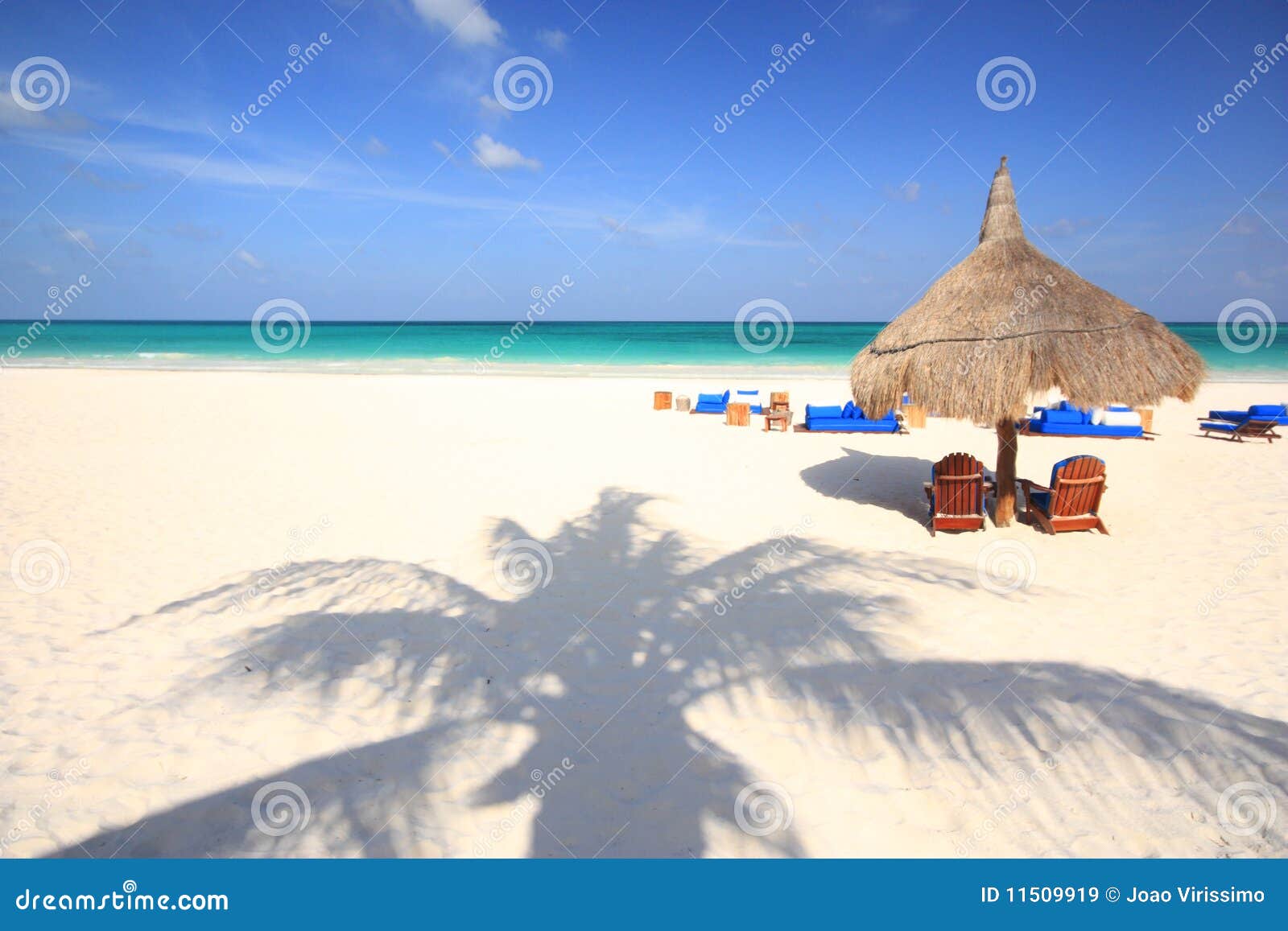 Palm Tree Shadow on Tropical Beach Stock Image - Image of beach, deck ...